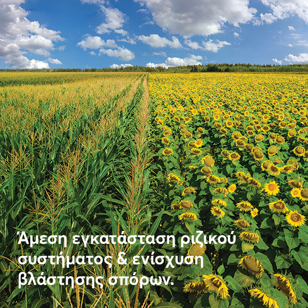ΤΟ ΜΥΣΤΙΚΟ ΓΙΑ ΤΗΝ ΕΝΙΣΧΥΣΗ ΤΗΣ ΡΙΖΟΒΟΛΙΑΣ & ΤΗΣ ΒΛΑΣΤΙΚΗΣ ΙΚΑΝΟΤΗΤΑΣ ...