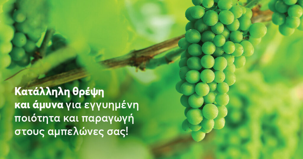 ΟΙ «ΣΥΜΜΑΧΟΙ» ΣΤΗ ΘΡΕΨΗ & ΑΜΥΝΑ ΤΗΣ ΑΜΠΕΛΟΥ | Biosolids | Βελτιωτικά ...